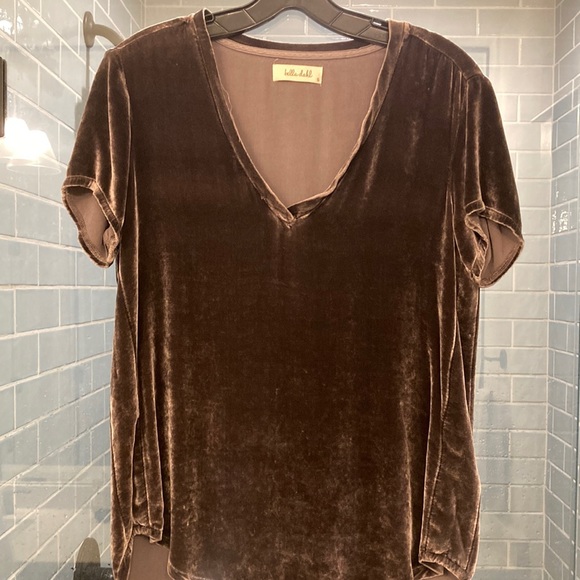 Bella Dahl | Tops | Bella Dahl Velvet Top | Poshmark